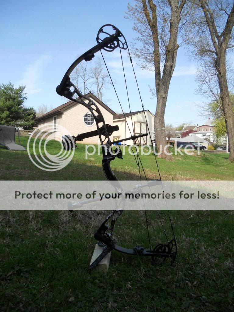 Predator Fall Gray GT500 | Archery Talk Forum