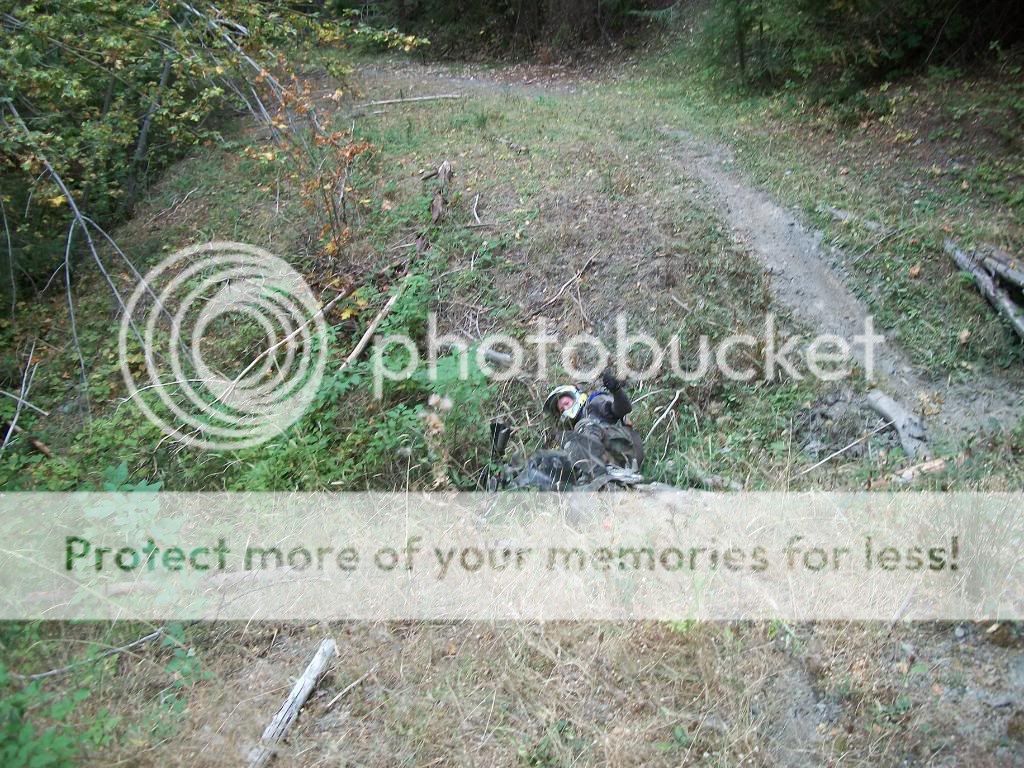 Big Logs and Dodging Cows! - DRZ400/E/S/SM - ThumperTalk