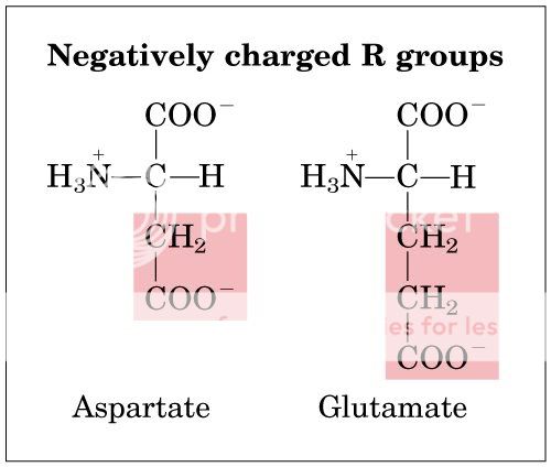 Negatively Charged R Group Photo by marjan_12 | Photobucket